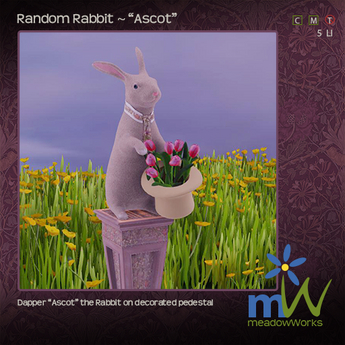 Second Life Marketplace - Random Rabbit ~ Ascot